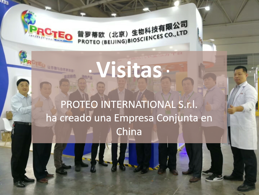 Noticias - Proteo International